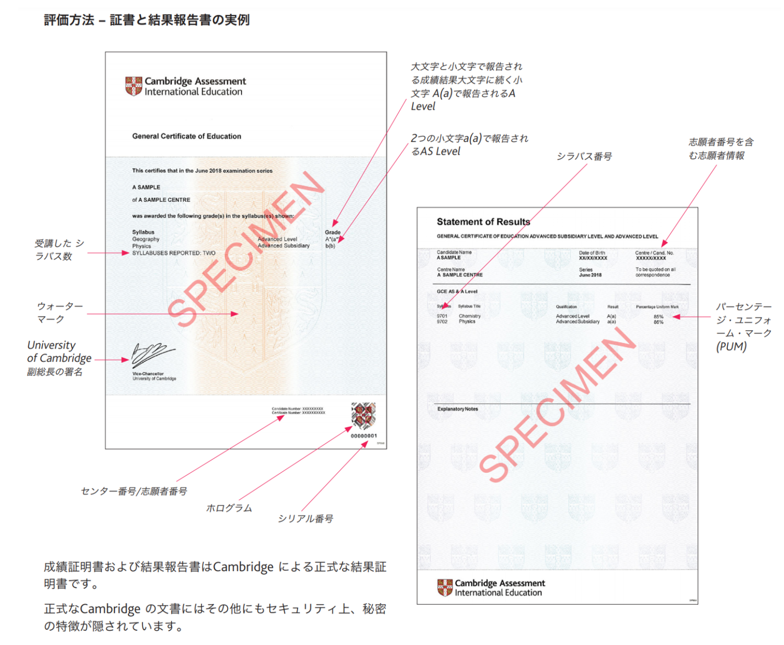 GCE（General Certificate of Education）とは？