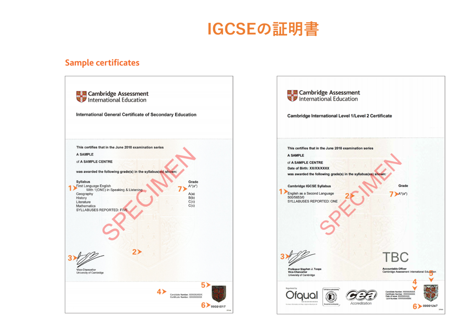 GCE（General Certificate of Education）とは？
